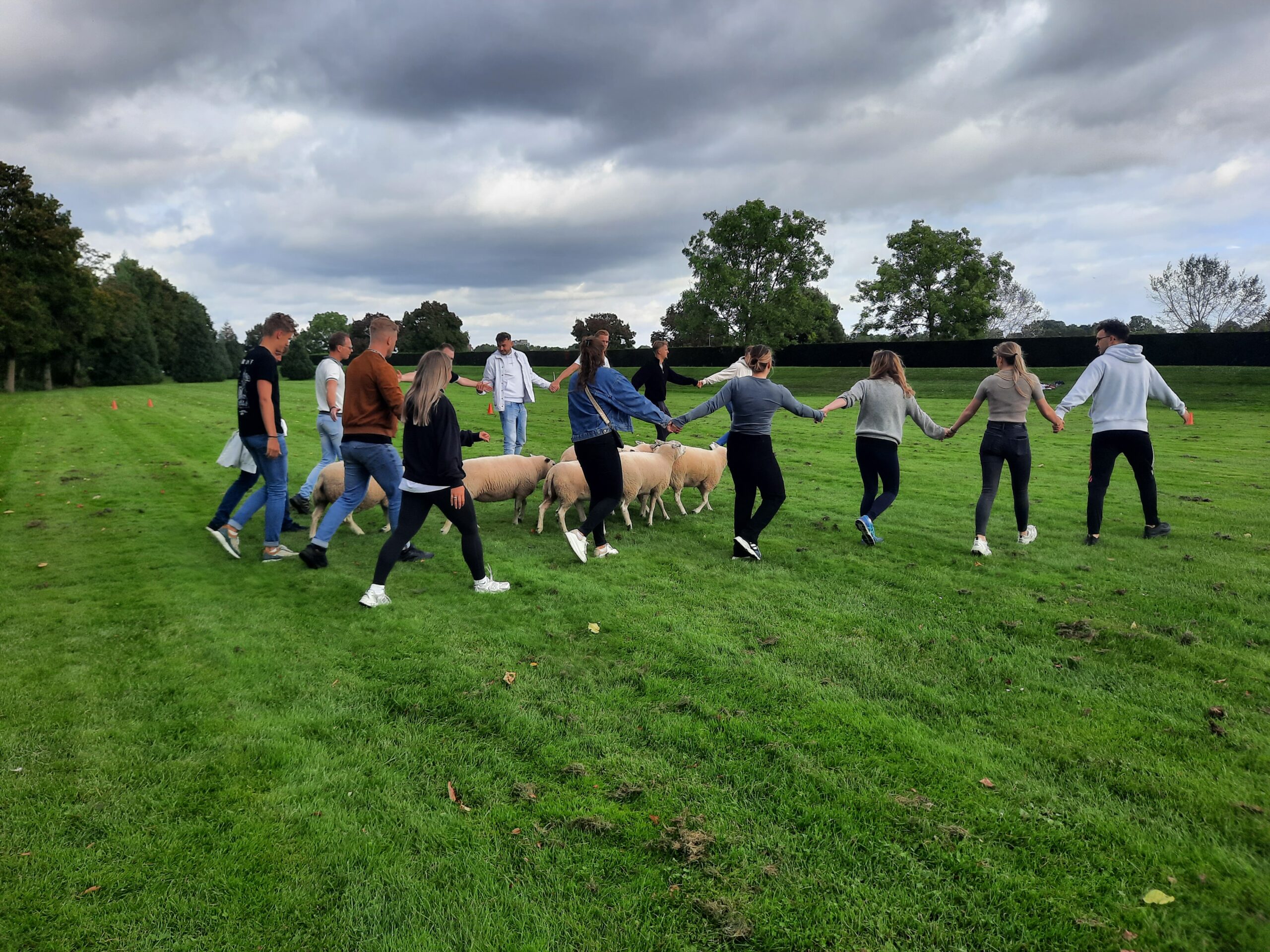 Teambuilding: waar is het goed voor? - HRSterk